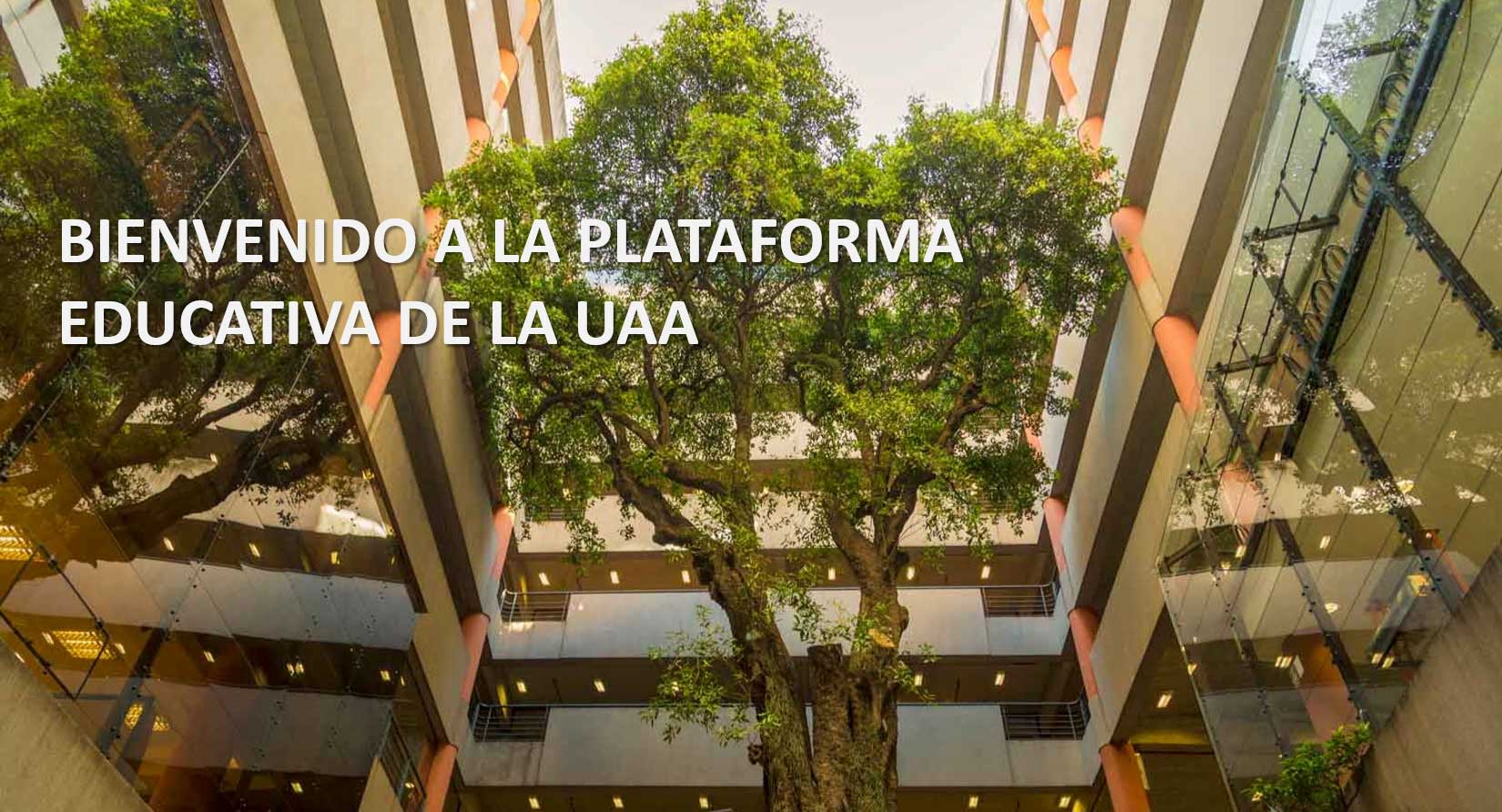 Página Principal | UAA